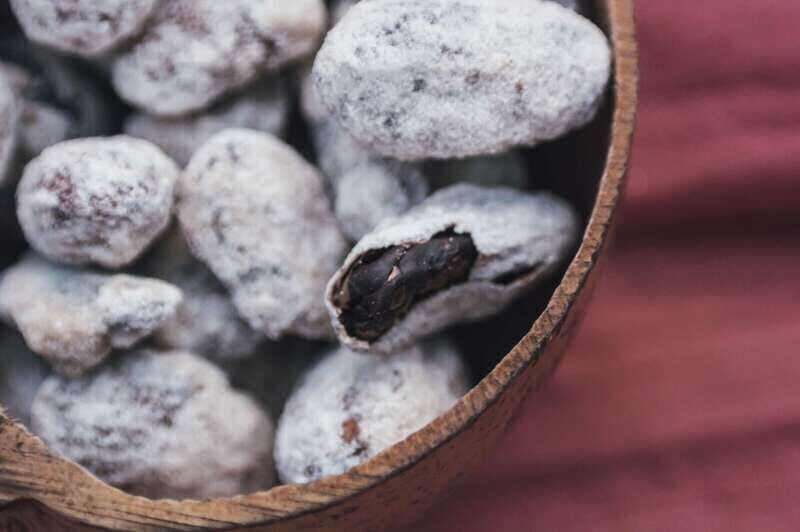 Artisanal Mexican Chocolate Tasting - Artisanal Mexican Chocolate Tasting: An Authentic Journey Through Flavors and Culture