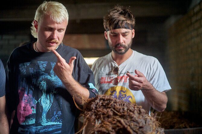 Artisanal Mezcal Culture Tour for Tasting and History - Frequently Asked Questions