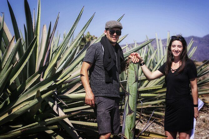 Artisanal Mezcal distillery in an authentic Zapotec village - Deepening the experience: what makes this tour stand out