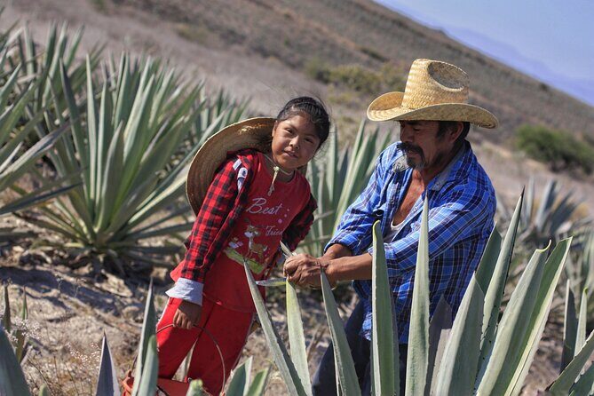Artisanal Mezcal distillery in an authentic Zapotec village - What to consider before booking
