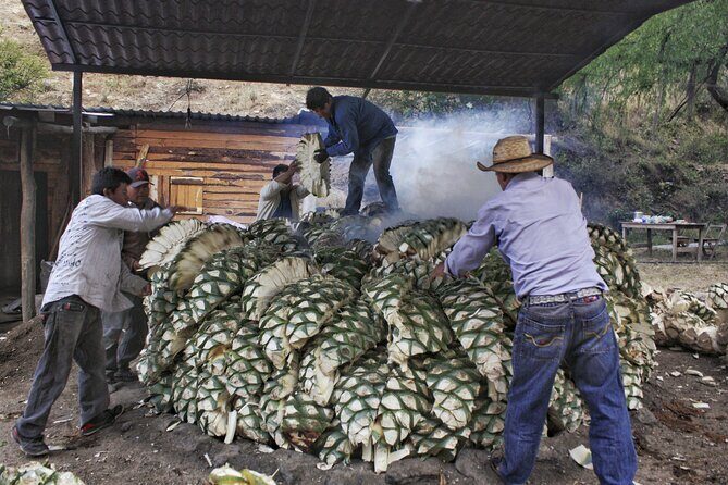 Artisanal Mezcal distillery in an authentic Zapotec village - Final thoughts