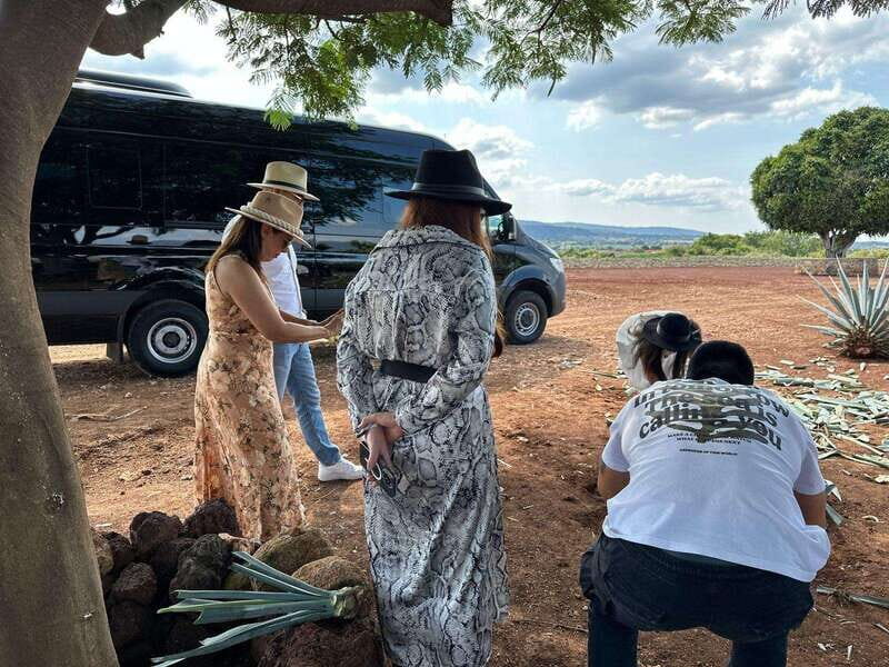 Artisanal Tequila Experience in Private Luxury SUV Local - The Experience: What You Can Expect