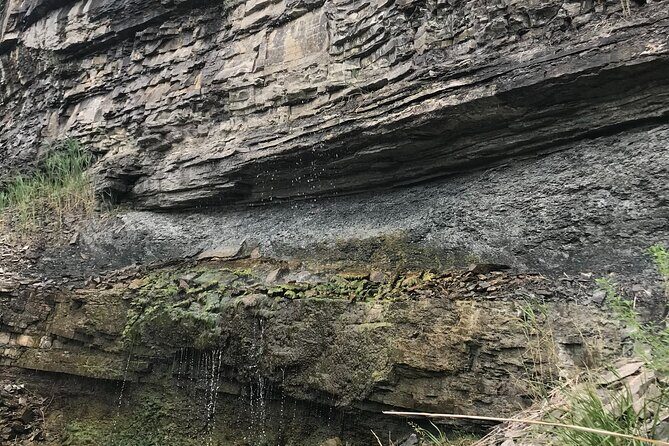 Artpark Guided Tour with Hiking and Climbing Experience - Final Thoughts