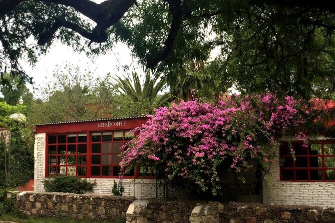 Arts and Snacks Walking Tour with Taste of San Miguel - Who Should Sign Up?