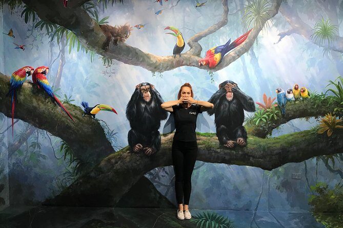 ArtVo Gold Coast  Queenslands First Trick Art Gallery - Frequently Asked Questions