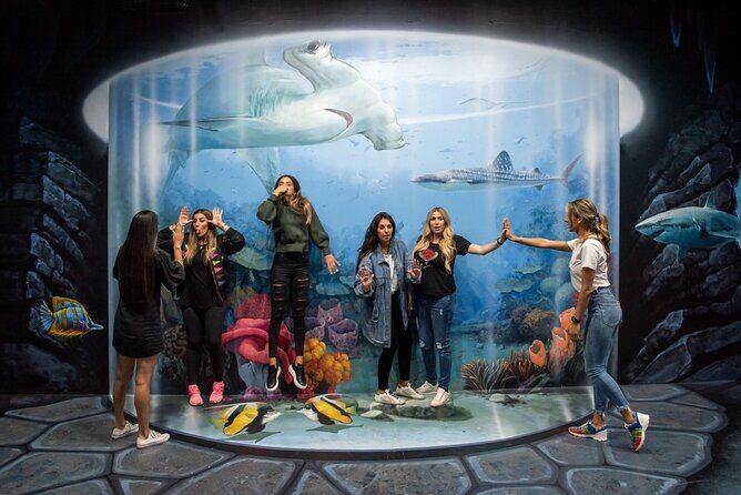 ArtVo Immersive Gallery Experience - FAQs