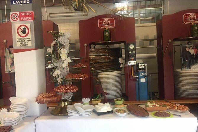 Ascoli Olive Oil Tour with Tasting and Local Food Pairing - The Sum Up