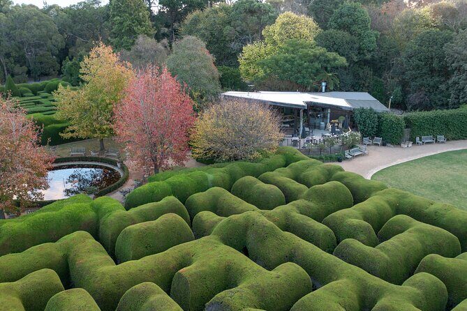 Ashcombe Maze & Lavender Gardens - Final Thoughts on Ashcombe Maze & Lavender Gardens
