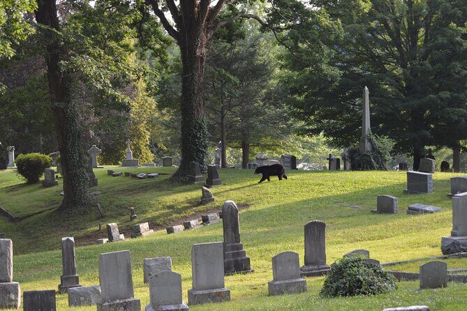 Asheville Ghost Tour: A Walk Through Riverside Cemetery & Montford Neighborhood - FAQs
