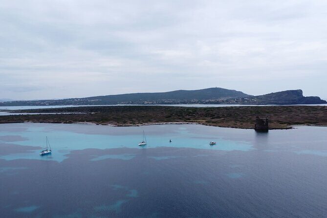 Asinara: Sailing trip in the park of Asinara - The Review from Travelers