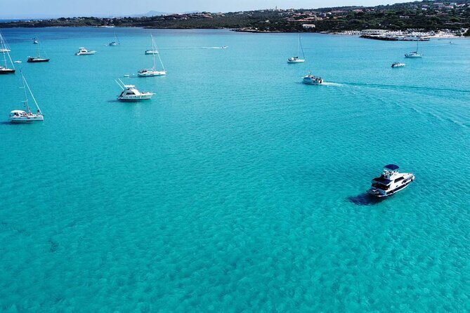 Asinara: Sailing trip in the park of Asinara - Final Thoughts: Who Is This Tour Best Suited For?