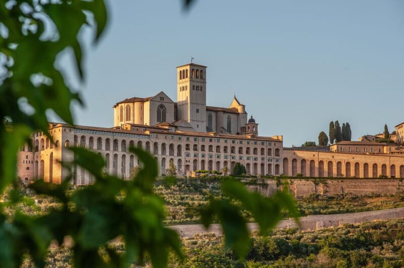Assisi City highlights and St. Francis Basilica Tour - Why This Tour Works Best for You