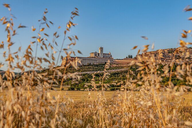 Assisi on the Footsteps of St. Francis and Carlo Acutis - Assisi on the Footsteps of St. Francis and Carlo Acutis: An In-Depth Tour Review
