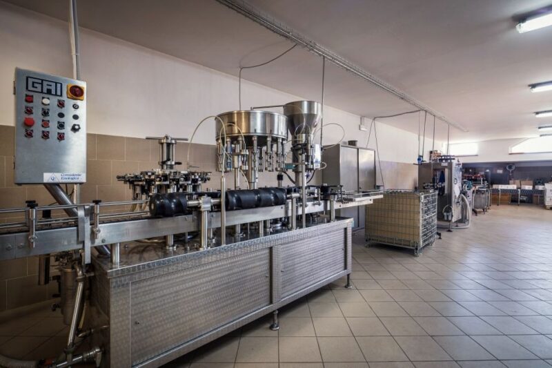 Assisi: Organic Winery Tour with Tastings & Typical Food - Key Points