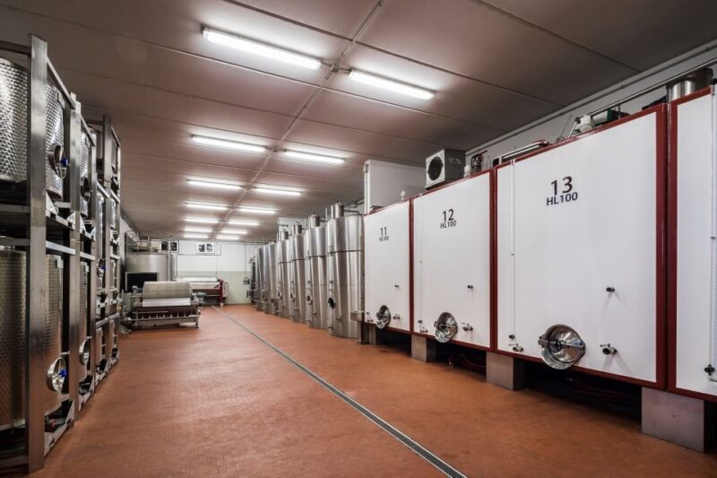 Assisi: Organic Winery Tour with Tastings & Typical Food - Why This Tour Offers Great Value