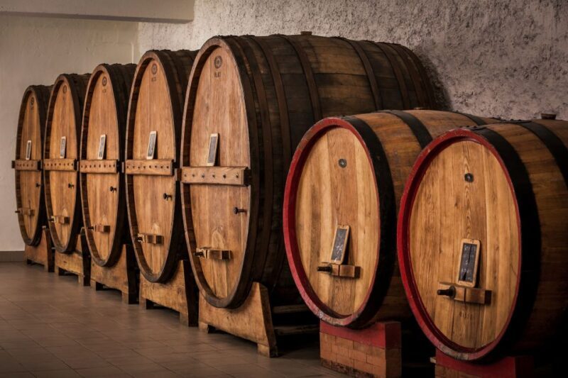 Assisi: Organic Winery Tour with Tastings & Typical Food - Who Should Book This Tour?