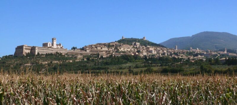 Assisi: Walking Tour with St. Francis Basilica Visit - A Practical, Detailed Look at the Tour Experience