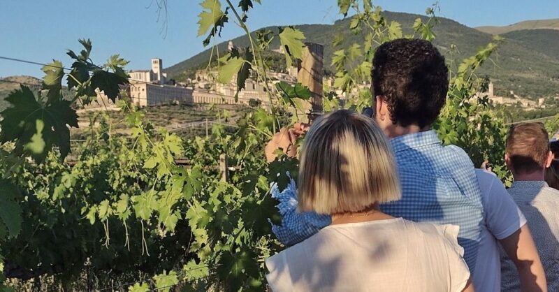 Assisi: Wine tasting, gourmet pairing, walk in the vineyards - Final thoughts