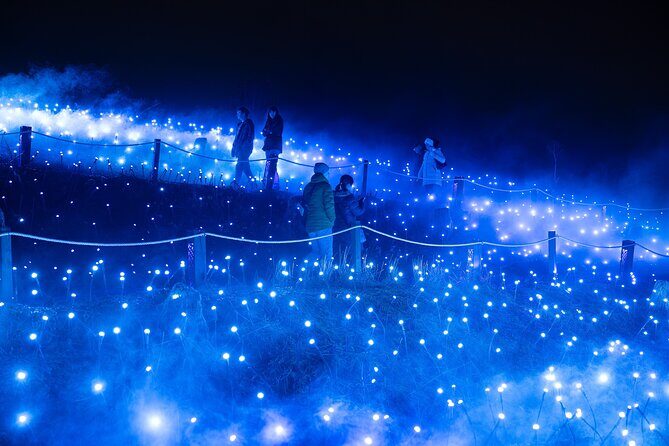 Astra Lumina Night Walk at Currumbin Wildlife Sanctuary - Value for Money and Overall Impression