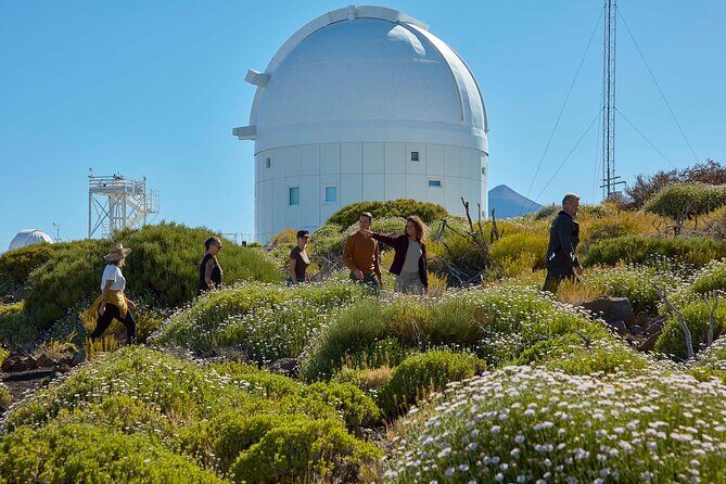 Astronomic Small-Group Tour on Tenerife Teide Observatory - The Experience: What Travelers Say
