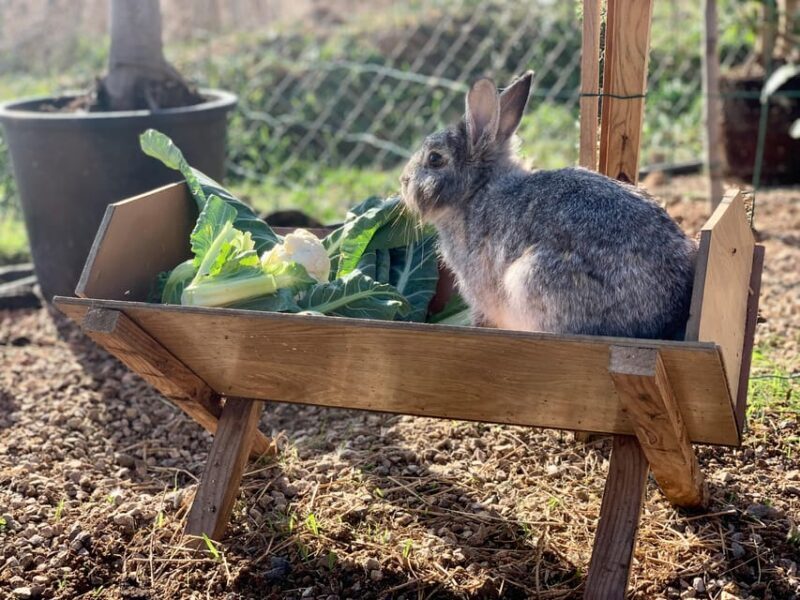 Astronomy Night in Finca Astronomica, Cartagena, Murcia - Practical Details and Value