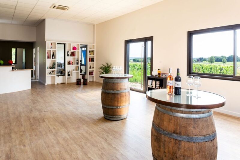 At the gates of Toulouse: from the vine to the cellar - Exploring the Château Boujac Experience