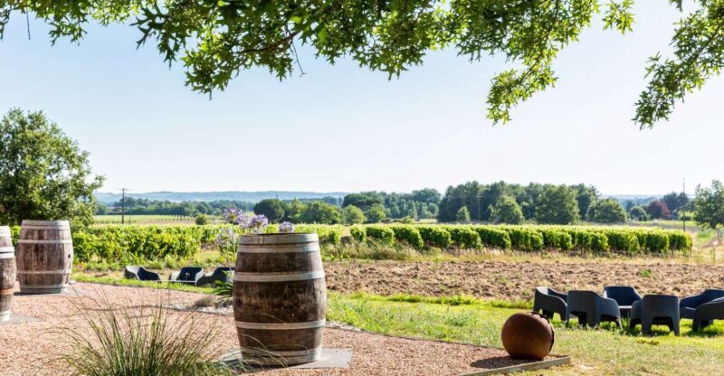 At the gates of Toulouse: from the vine to the cellar - Final Thoughts
