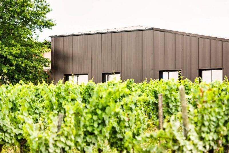 At the gates of Toulouse : Gourmet Tour - Walk and Tastings - A Detailed Look at the Tour Experience