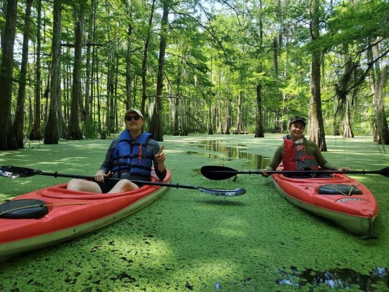 Atchafalaya Basin: 2.5 Hr. Guided Kayak Tour - Why This Kayak Tour is Worth Considering