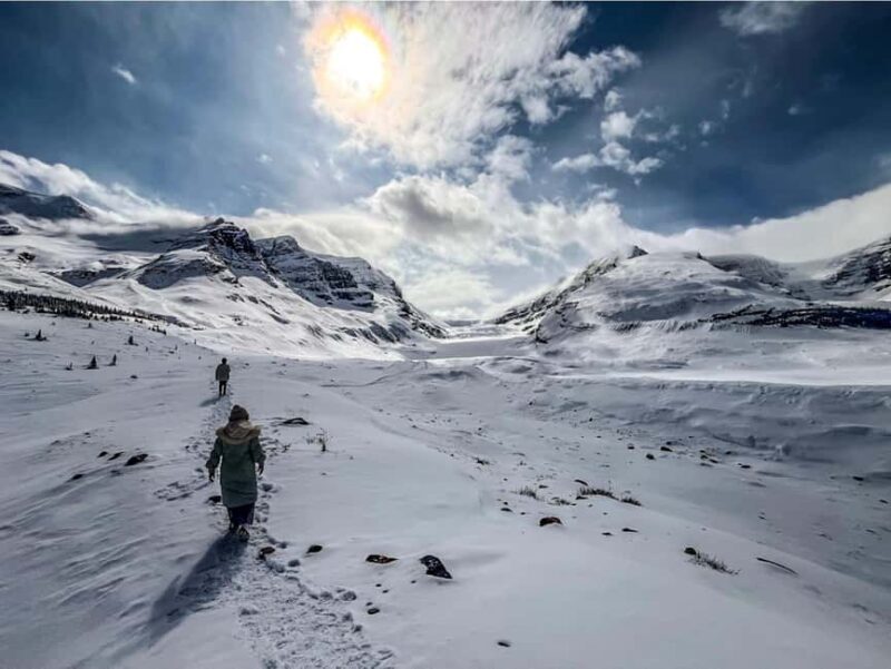 Athabasca Falls/Abraham,Sunwapta Falls, Icefield, Peyto Lake - Key Points