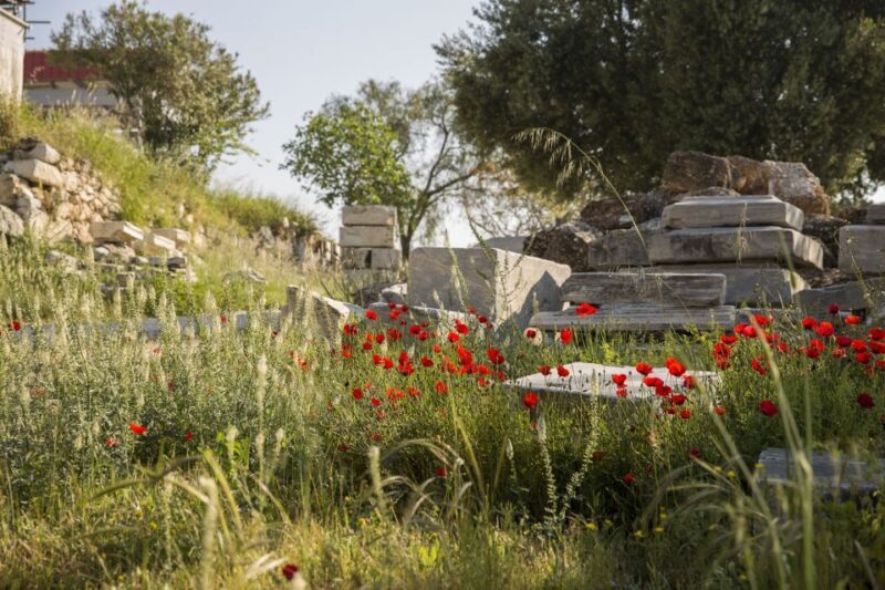 Athens: Acropolis Beat the Heat Guided Tour - Why This Tour Offers Real Value