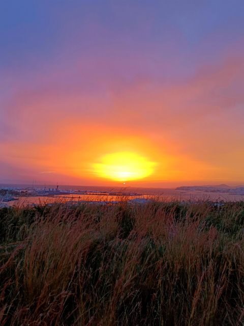 Athens: Authentic neighborhoods & the beach Bike Tour - Why This Tour Is Worth Considering