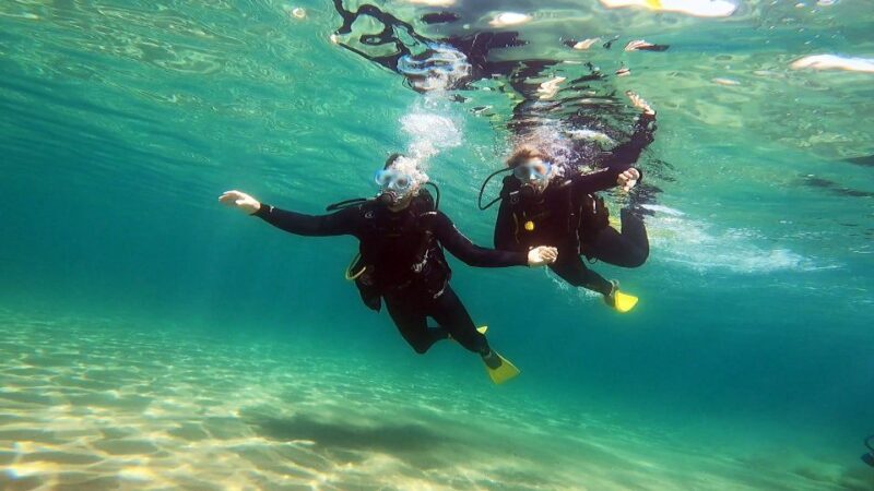 Athens East Coast: Discover Scuba Diving in Nea Makri - The Experience Provider: Kanelakis Diving Experiences