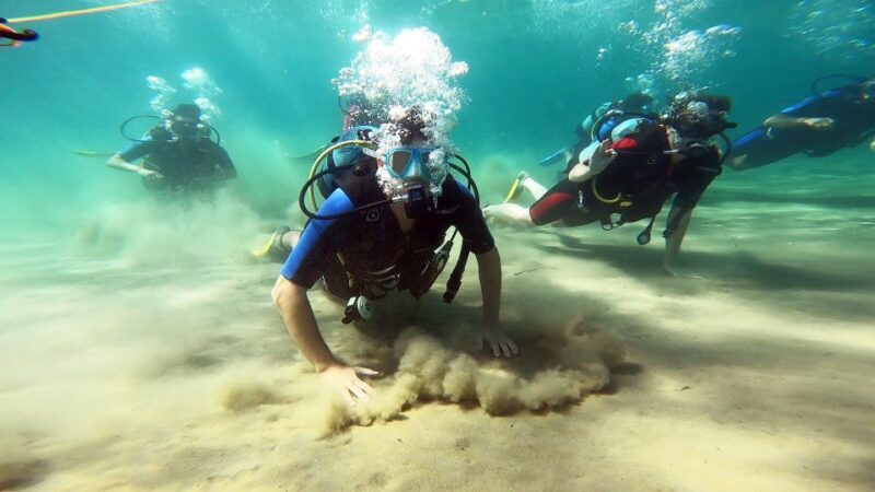 Athens East Coast: Discover Scuba Diving in Nea Makri - The Sum Up