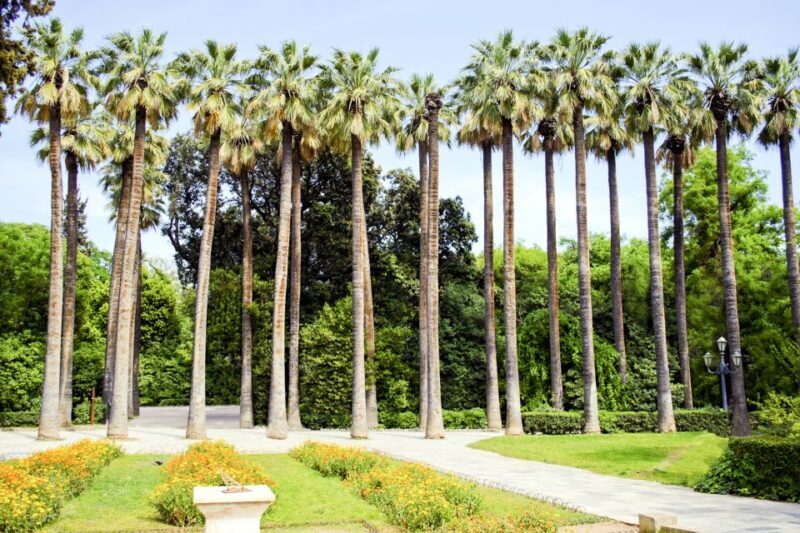 Athens Instagram Tour: The Most Scenic Spots - Key Points