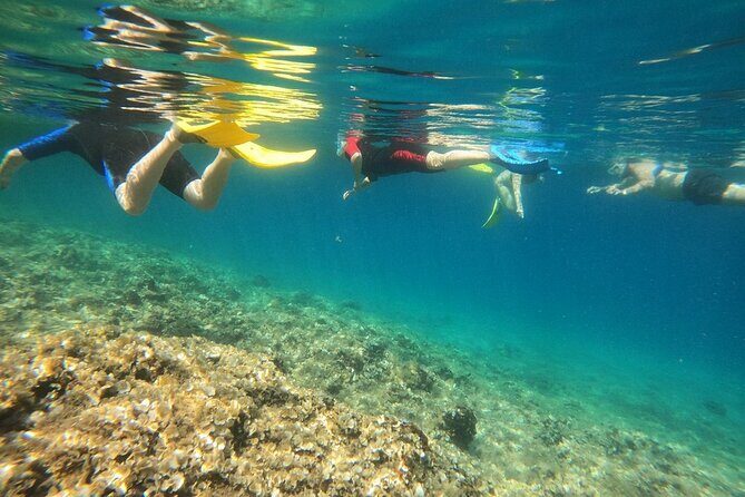 Athens, Nea Makri: Guided Small Group Snorkeling Boat Excursion - Who Will Love This Tour?