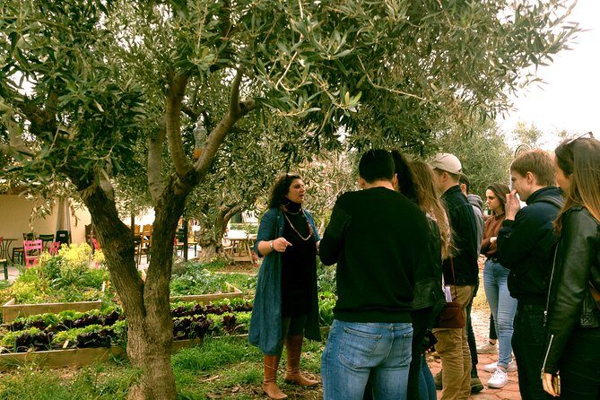ATHENS OLIVE ESTATE - Olive Oil Workshop with Farm-to-Fork Lunch - Who Will Love This Tour?