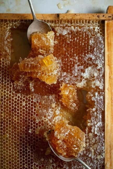 Athens: Premium Greek Honey Tasting - The Experience: What to Expect from the Honey Tasting