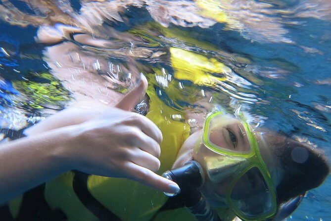 Athens Private Snorkeling and Swimming Cruise with pick up - Introduction