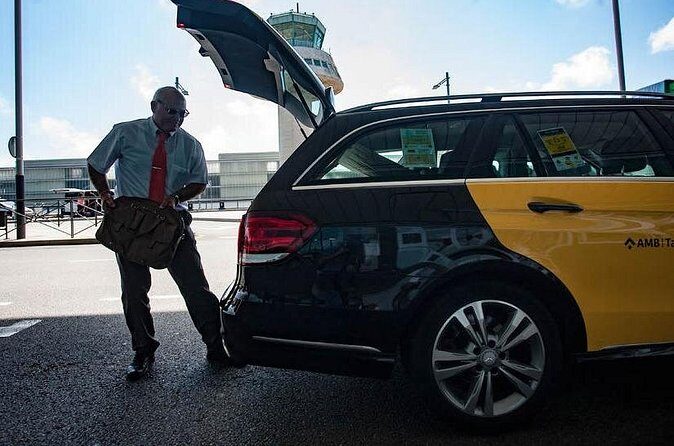 Athens Private Transfer from Piraeus Cruise Terminal to Athens Airport - Who Will Benefit Most from This Service?