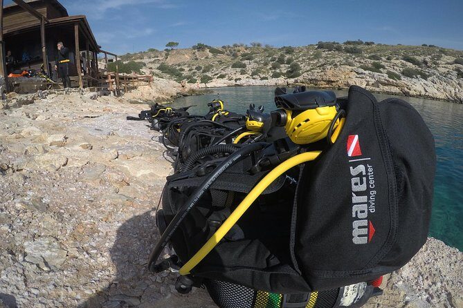Athens Scuba Diving Experience for Certified Divers with Pickup - What to Expect on the Itinerary