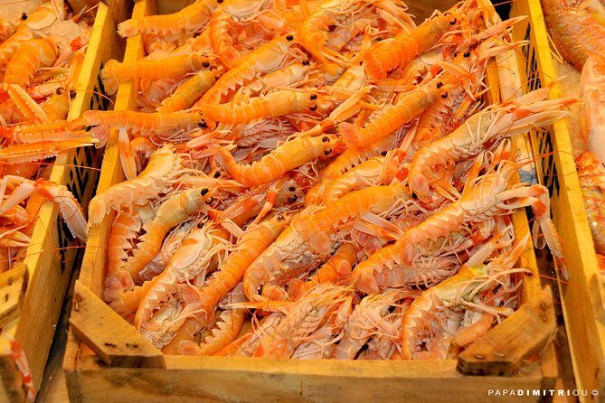 Athens Shore Excursion: Small-Group Food Tour - Analyzing the Value & Practicality