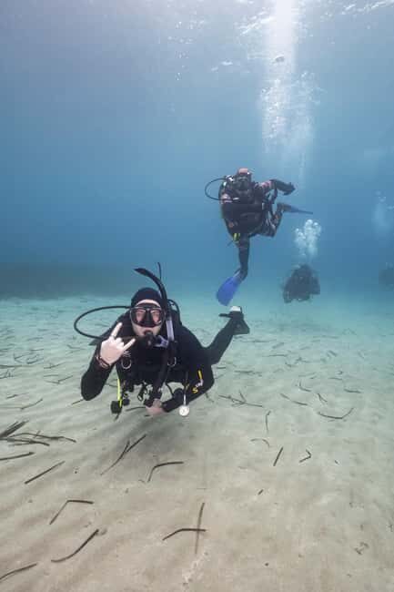 Athens: Single or Double Scuba diving for certified divers - What to Expect from Your Athens Scuba Experience
