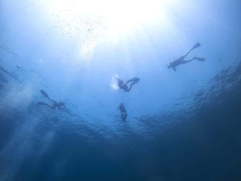 Athens: Snorkeling Riviera Adventure - Key Points