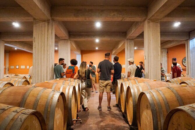 Athens to Nemea Wine Experience Tour - Possible Drawbacks and Considerations