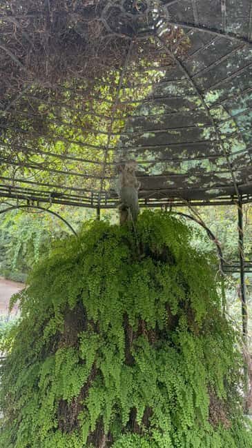 Athens: Views of Acropolis Agora Parthenon Guided Tour - Key Points