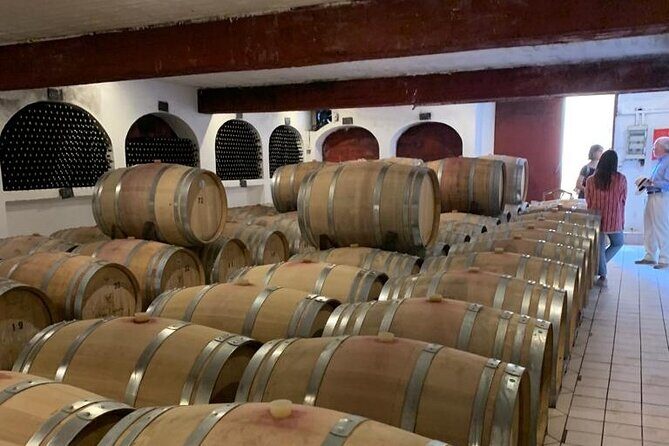 Athens Wine Tour - An Outstanding Full Day Experience For Dedicated Winelovers - The Experience: What You Can Expect