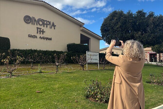 Athens wine tour: Wine museum and wine tasting with food pairing - Key Points  