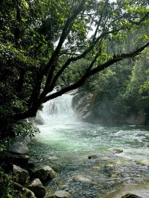 Atherton Tablelands: Lakes, Waterfalls, Rainforest Day Tour - Final Thoughts
