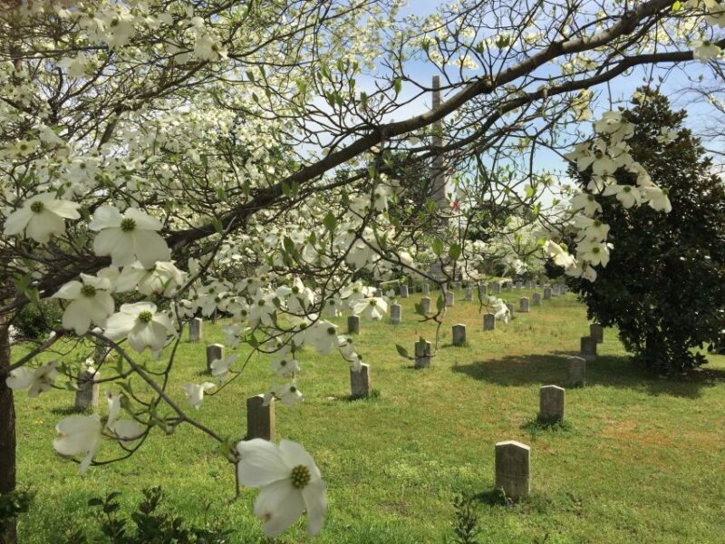 Atlanta: From Civil War to Civil Rights Private Tour - Final Thoughts